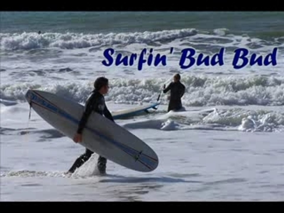 Surfin' Bud Bud - Vidéo Dailymotion