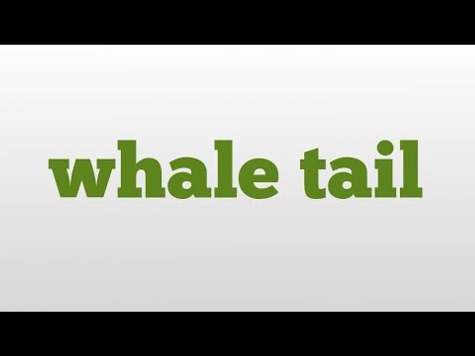 whale tail meaning and pronunciation - video Dailymotion