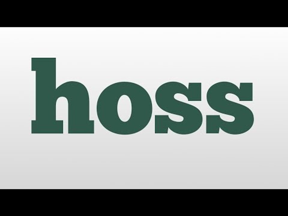 hoss meaning and pronunciation - video Dailymotion