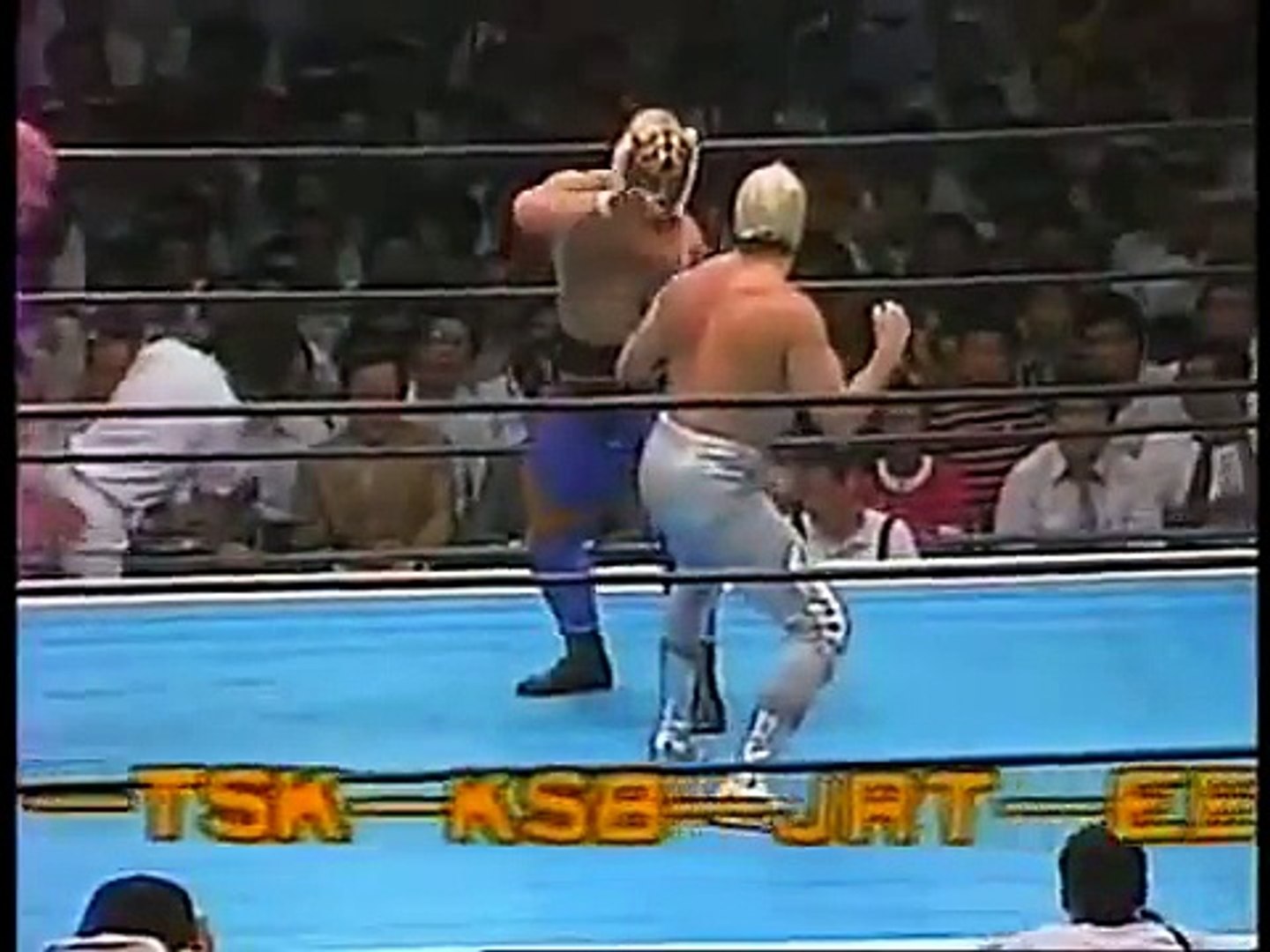 Tiger Mask V Wrestler