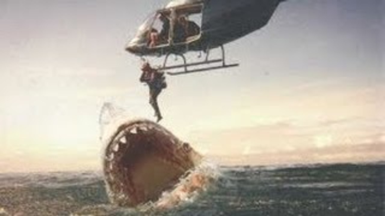 Real Megalodon Sightings! - World's Largest Sharks Ever Proofs - video ...