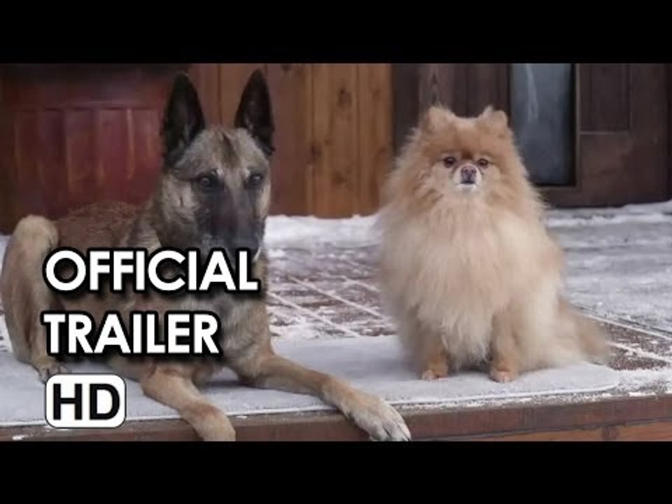 Step Dogs Official Trailer (2013) - Family Comedy HD - Video Dailymotion