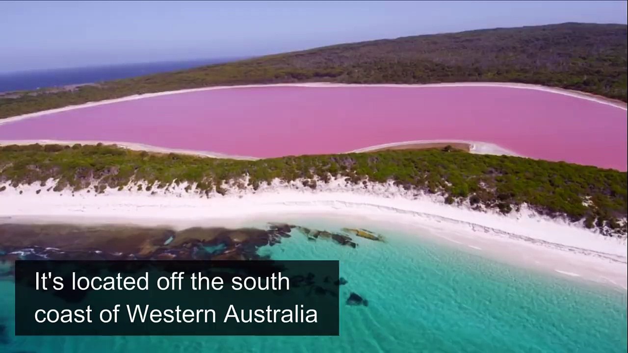 Worlds Most Amazing Natual Beauty - Real Pink Lake In Australia - video ...