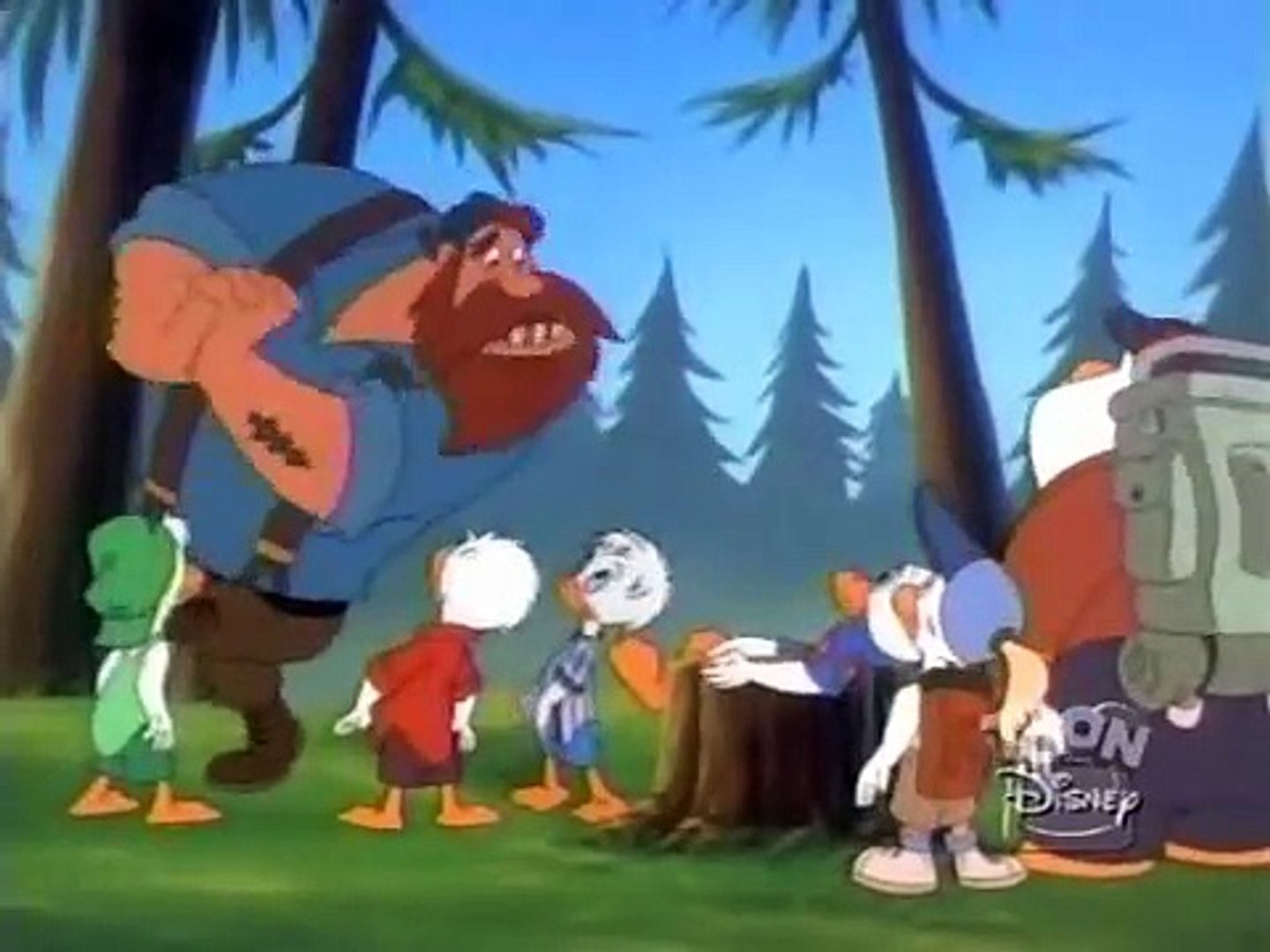 Quack Pack Ducks By Nature