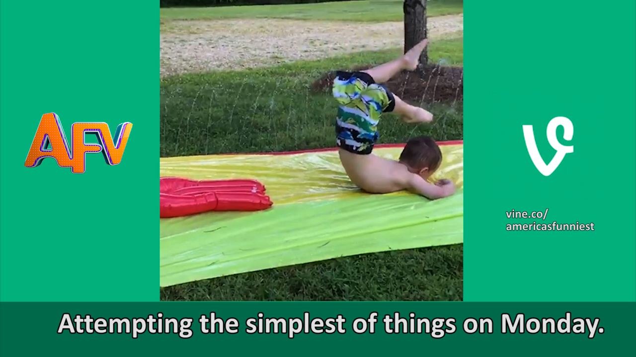 The Best Of January Vines On AFV - video Dailymotion