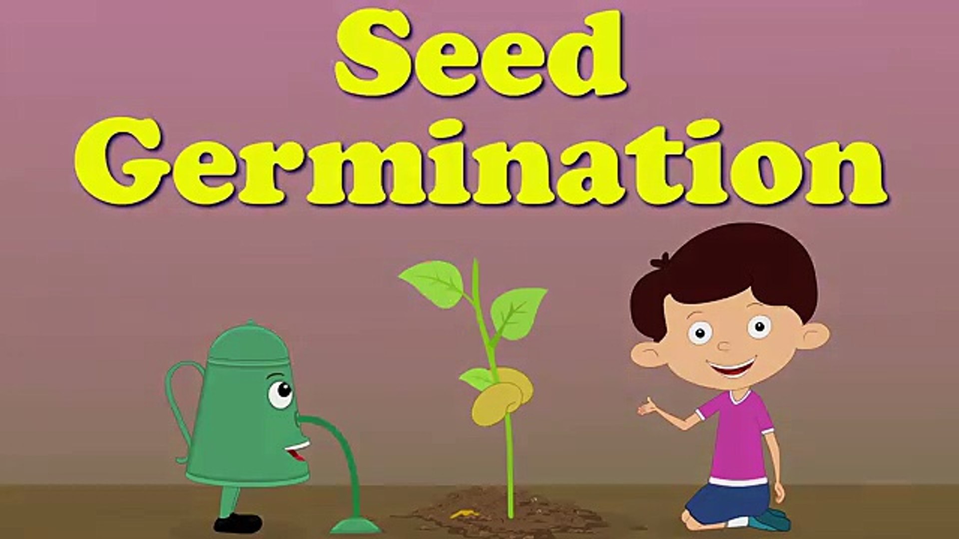 Seed Germination Animation