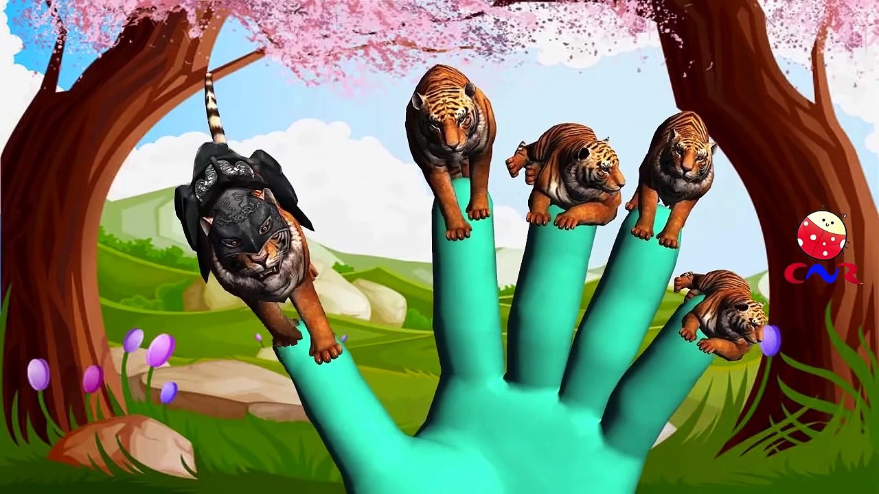 Finger Family Rhymes with Lion Tiger Cheetah | Animal Cartoons Finger ...
