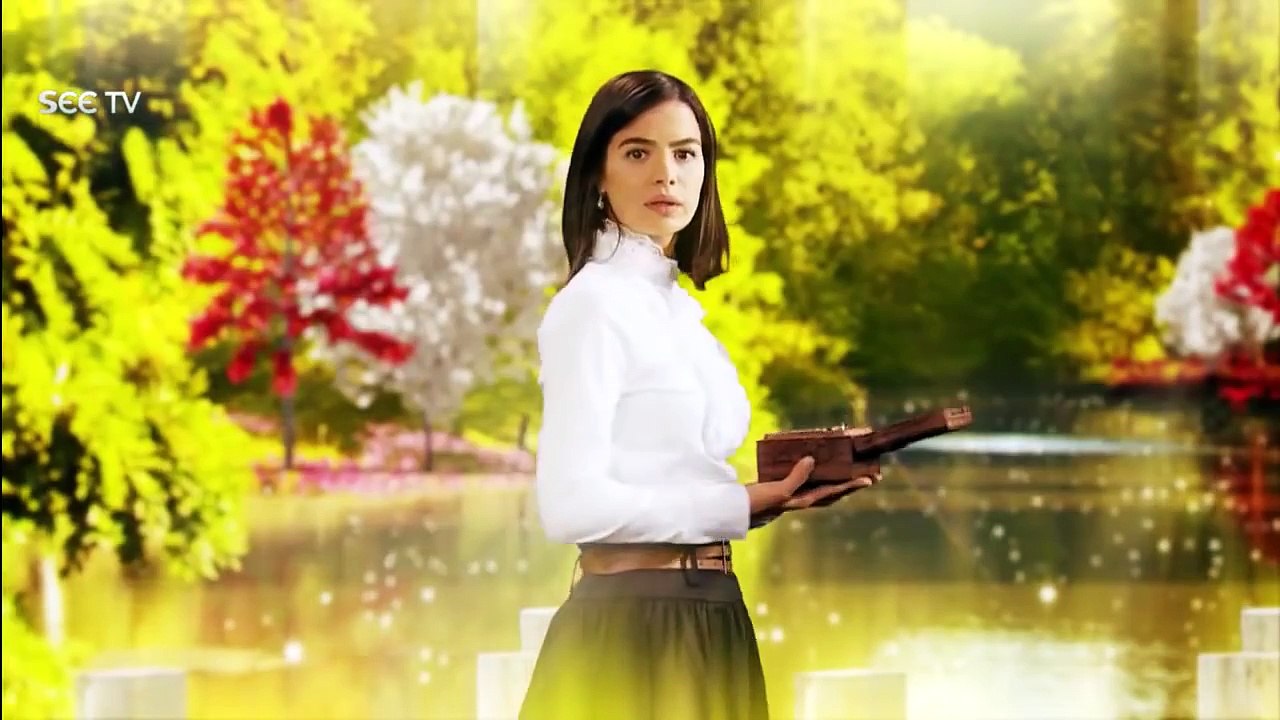 Mehak OST on See TV - Pakistani Drama Title Song 2016 - video Dailymotion