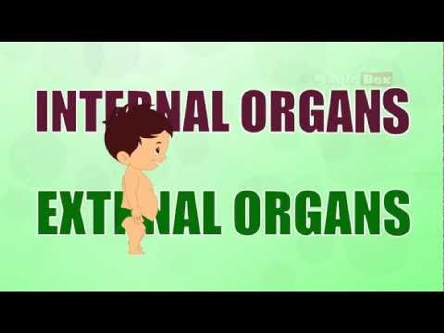 External Human Body Parts For Kids My Body Parts Chart Early