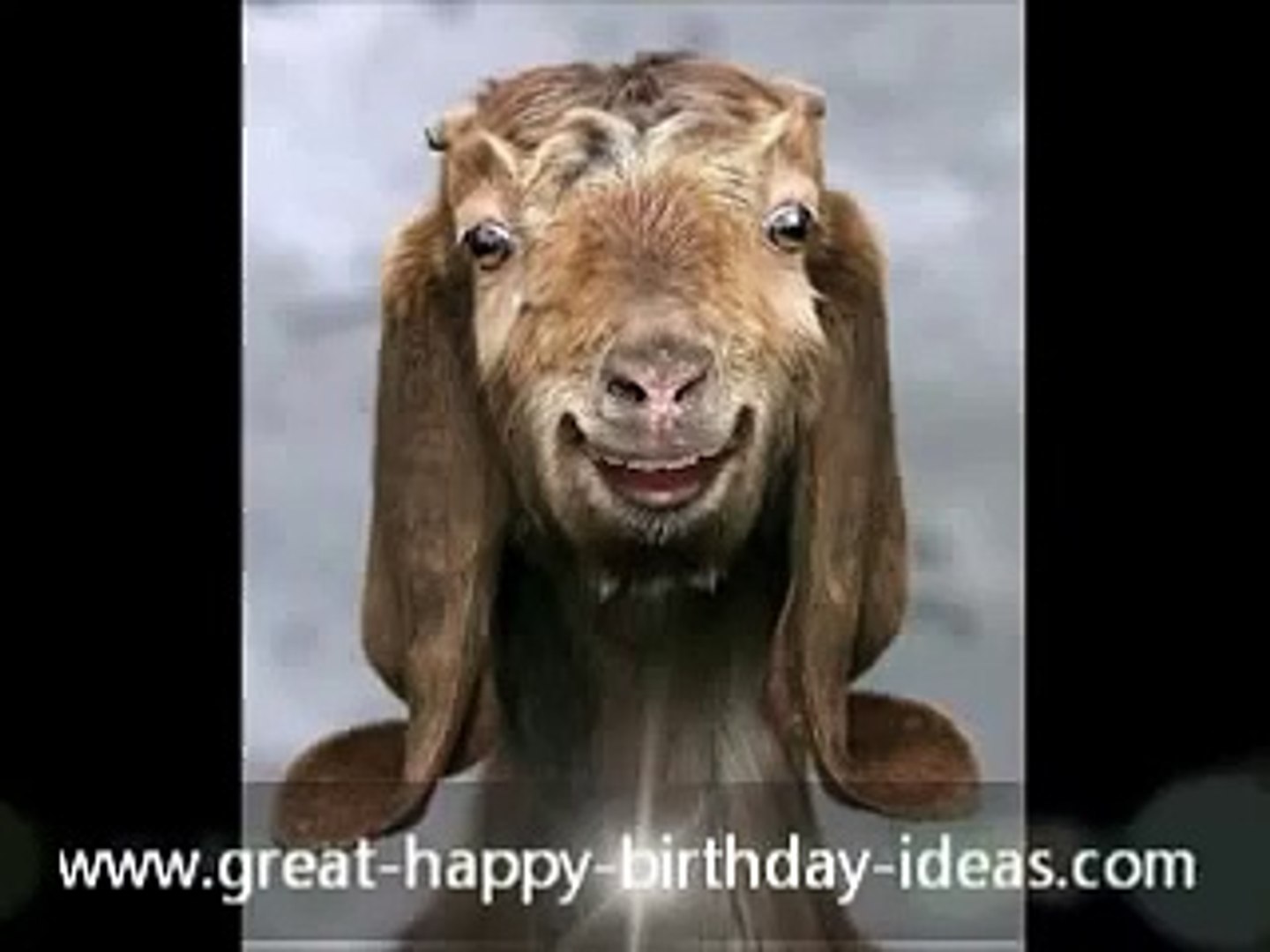Goat Birthday Meme