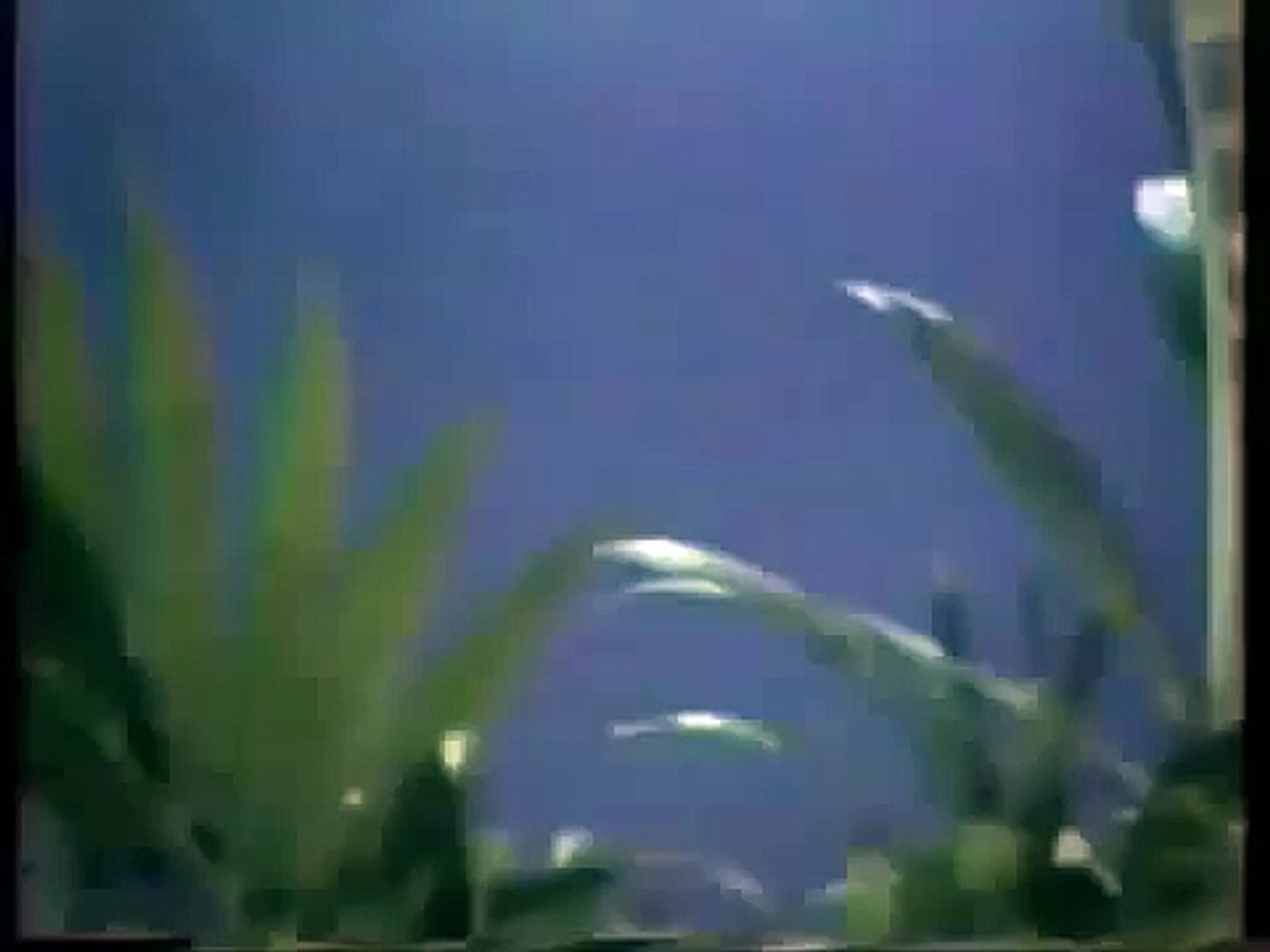 Very Interesting Laugh In