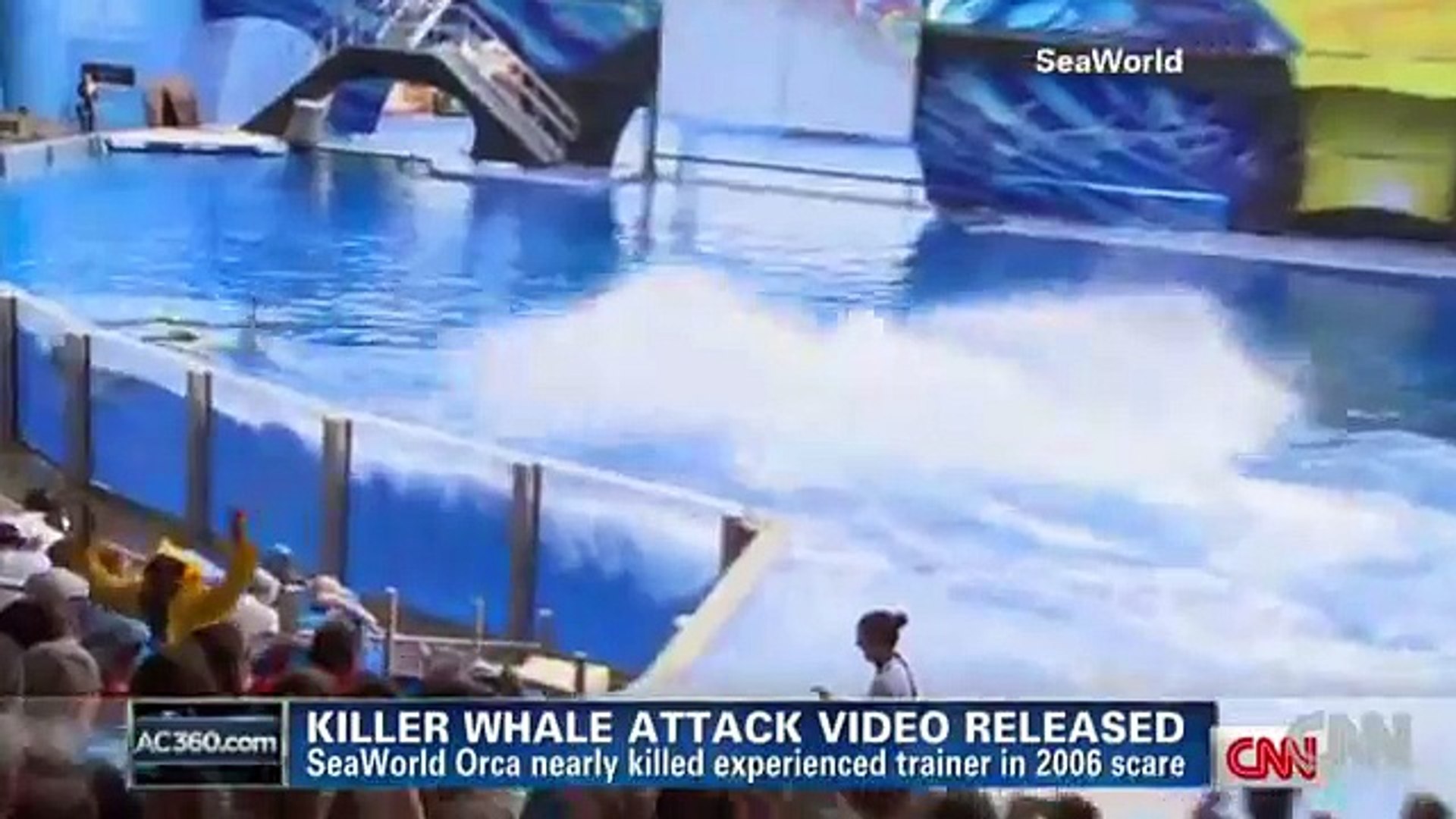 Seaworld Shamu Attack