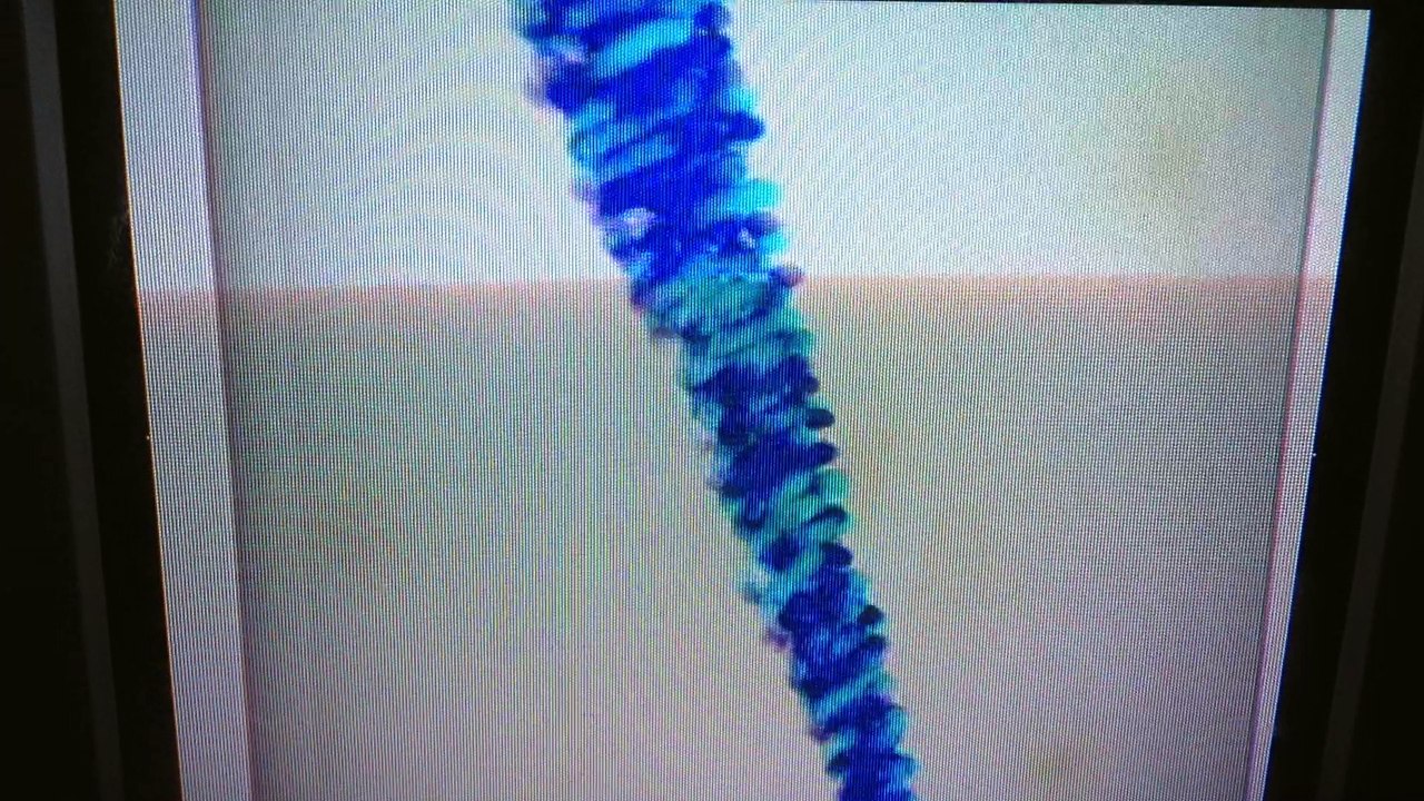 Closing to Baby Mozart 2000 DVD - video Dailymotion