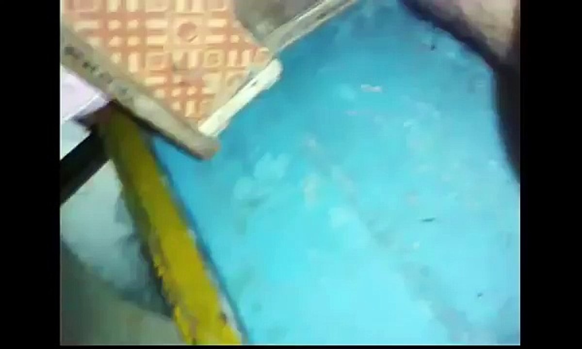 Indian College Girl Liplock along With Chocolate - video Dailymotion