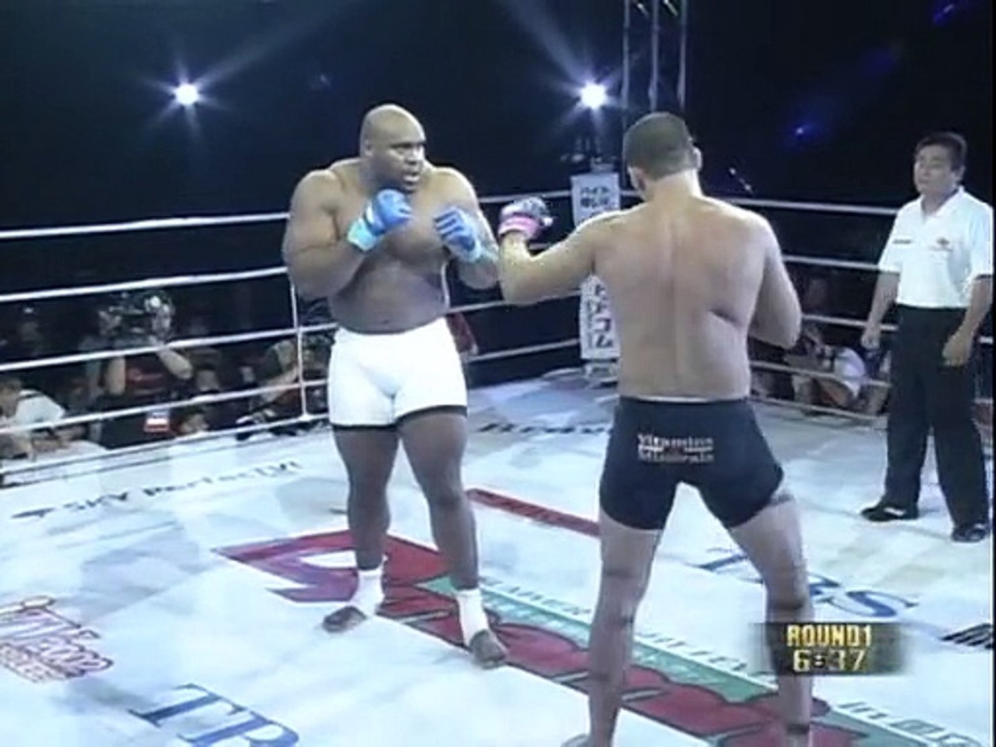 Bob Sapp Vs Nogueira