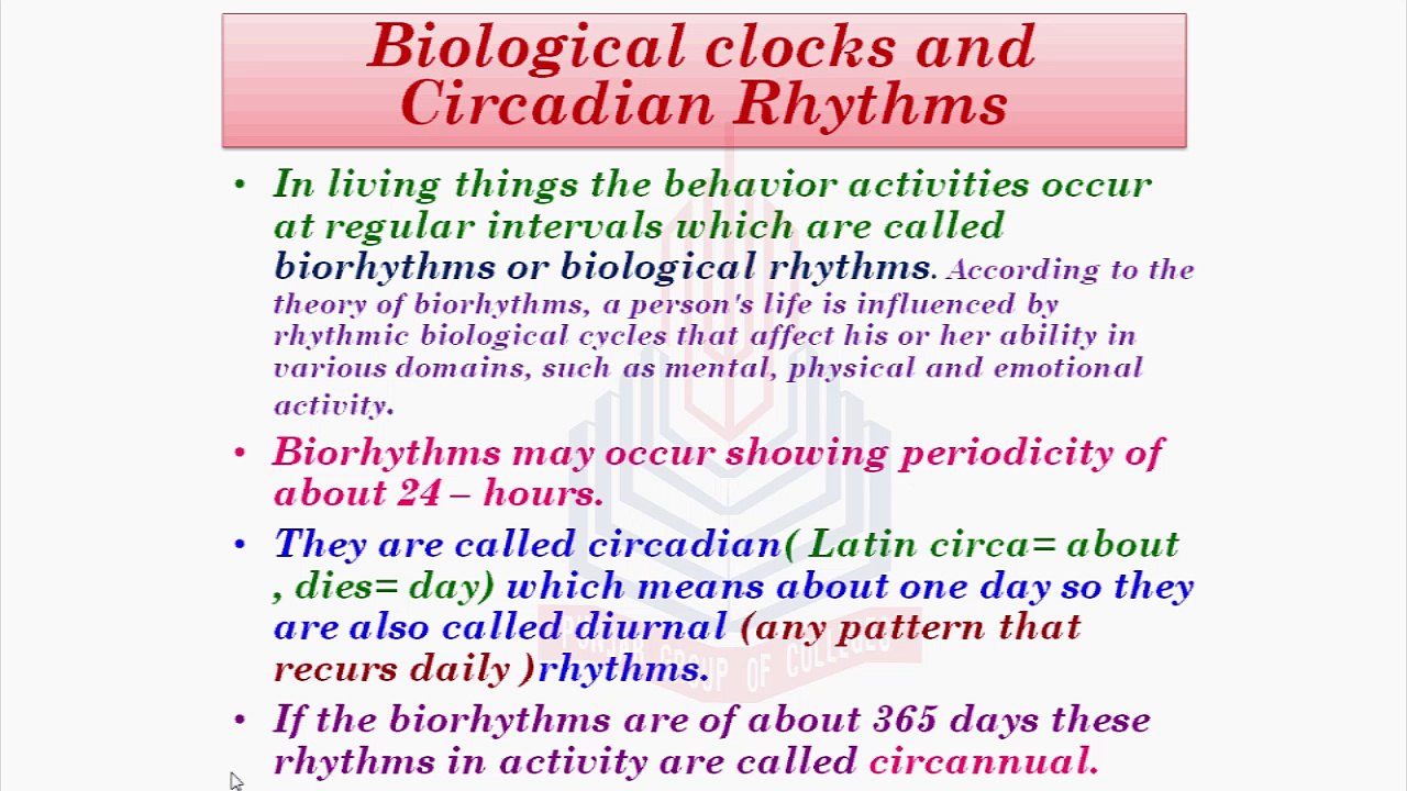 Biological Clocks and Circadian Rhythms - video Dailymotion