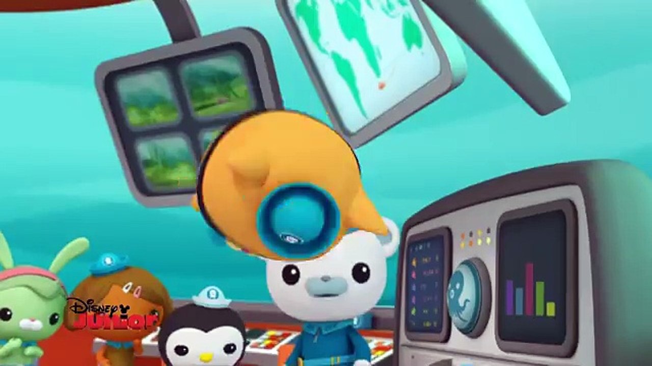 Octonauts - La minute sous-marine : Les phoques - video Dailymotion