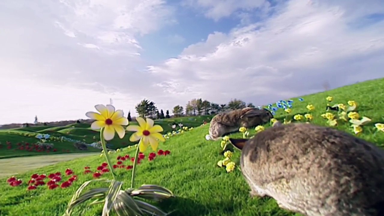 Teletubbies: Caterpillars - Full Episode - Dailymotion Video