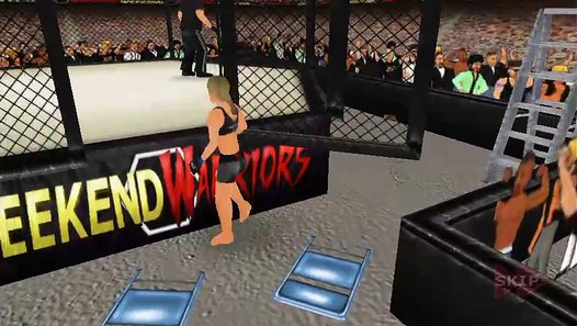 MMA boy vs girl fight - video dailymotion