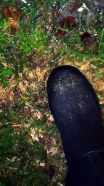 Boots Crushing Food - video Dailymotion