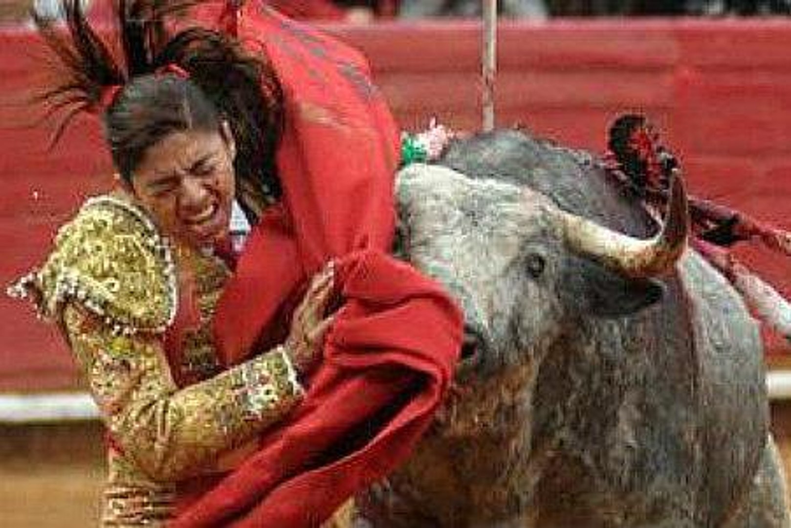 Bullfighting Accidents