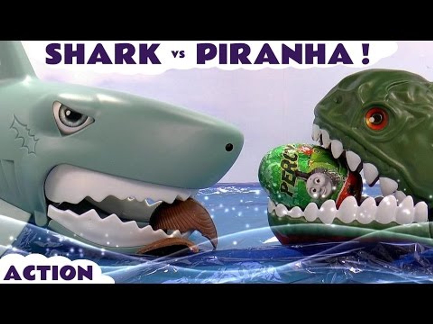 Piranha Fish Vs Shark