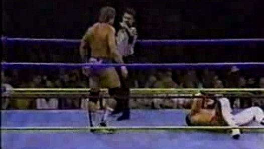 WCW Power Hour 2.5.93 Part One - video dailymotion