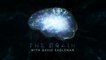The Brain With Dr. David Eagleman S01 - Ep01 What Is Reality - Part 01 ...