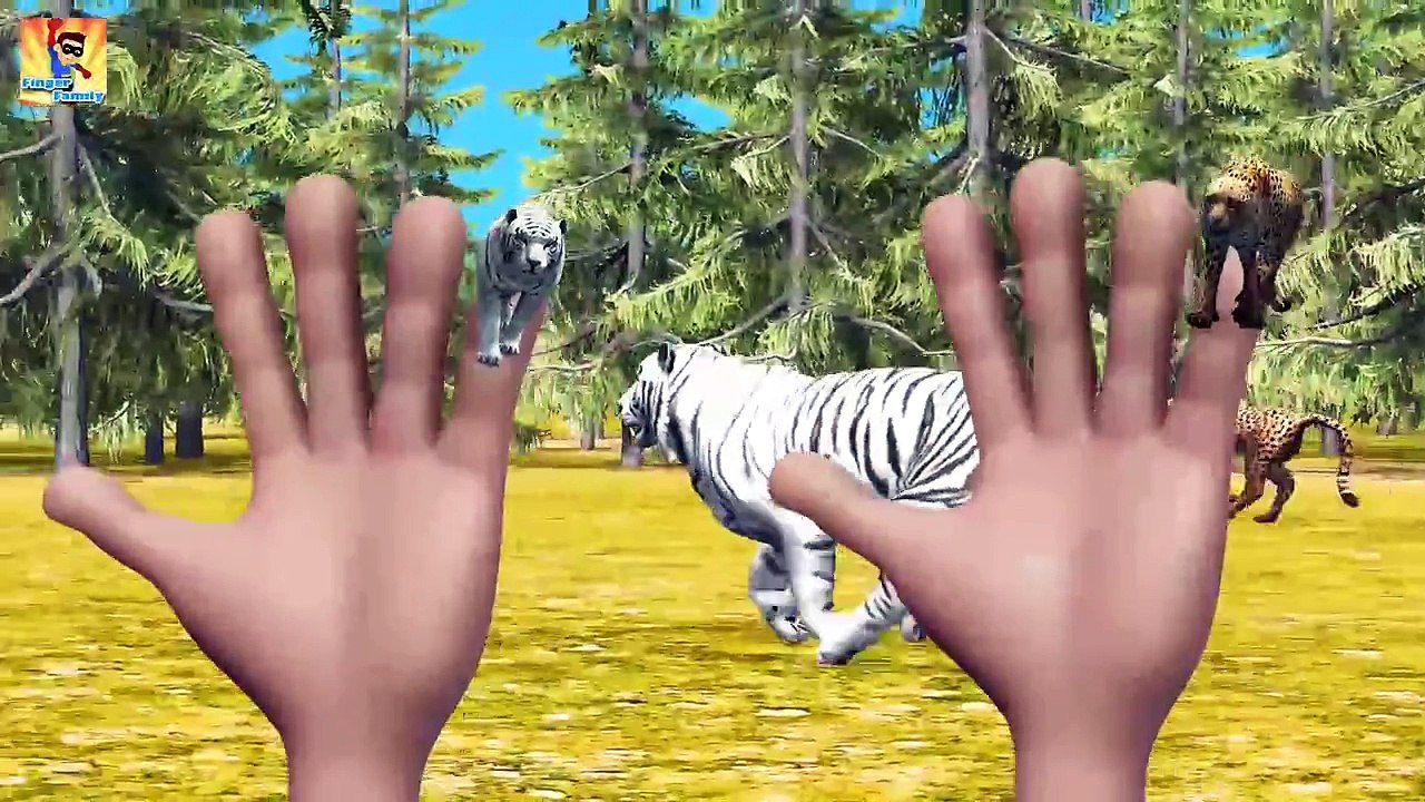 Finger Family Collection | Top Animals Cartoons Vs Finger Family ...