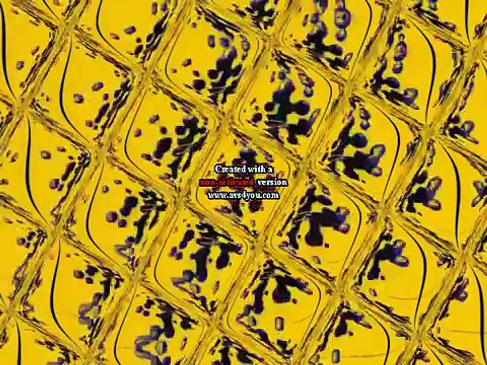 (Requested) Spongebob Csupo Effects 2 - Dailymotion Video