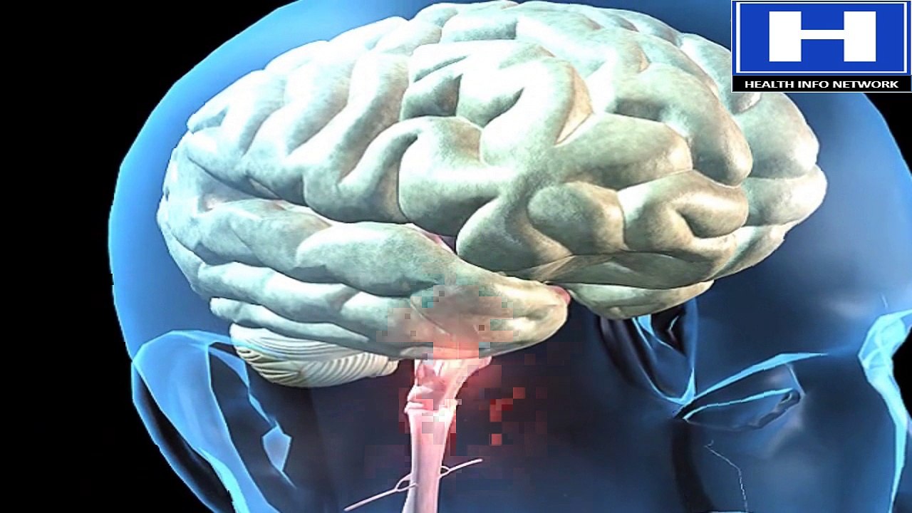 How adrenaline-epinephrine works - Adrenaline functions in human body ...