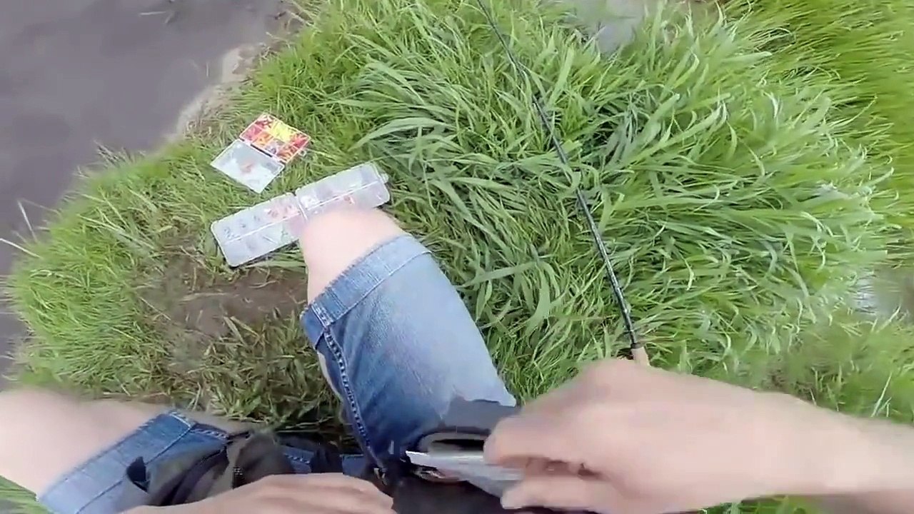 Catching the perch on the bypass leash. Best baits for perch – Видео ...