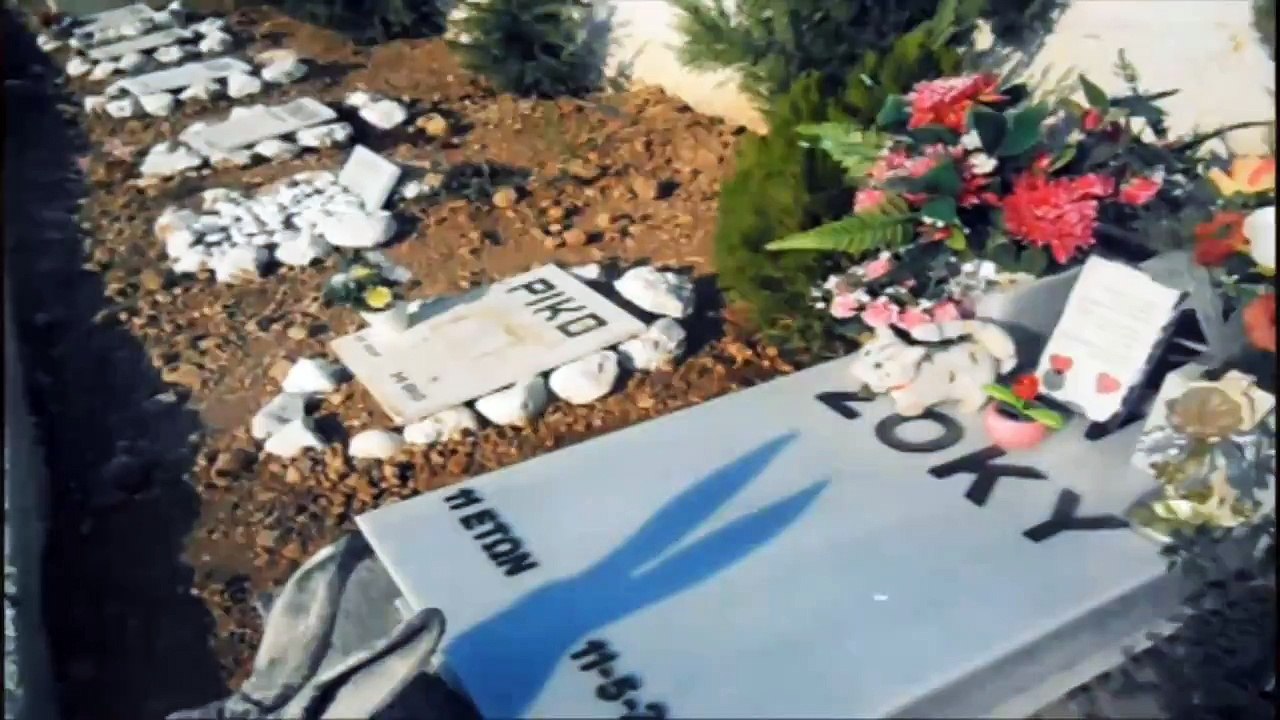 Ο Ελαιώνας, κοιμητήριο μικρών ζωων | Νεκροταφείο Μικρών Ζώων Μεγαρα ...