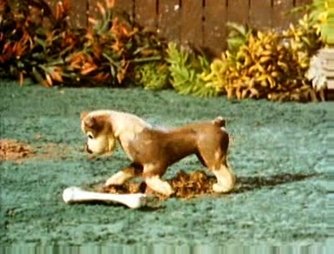 Gumby Characters Nopey The Gumby Show (TV Series 1956–1969) IMDb