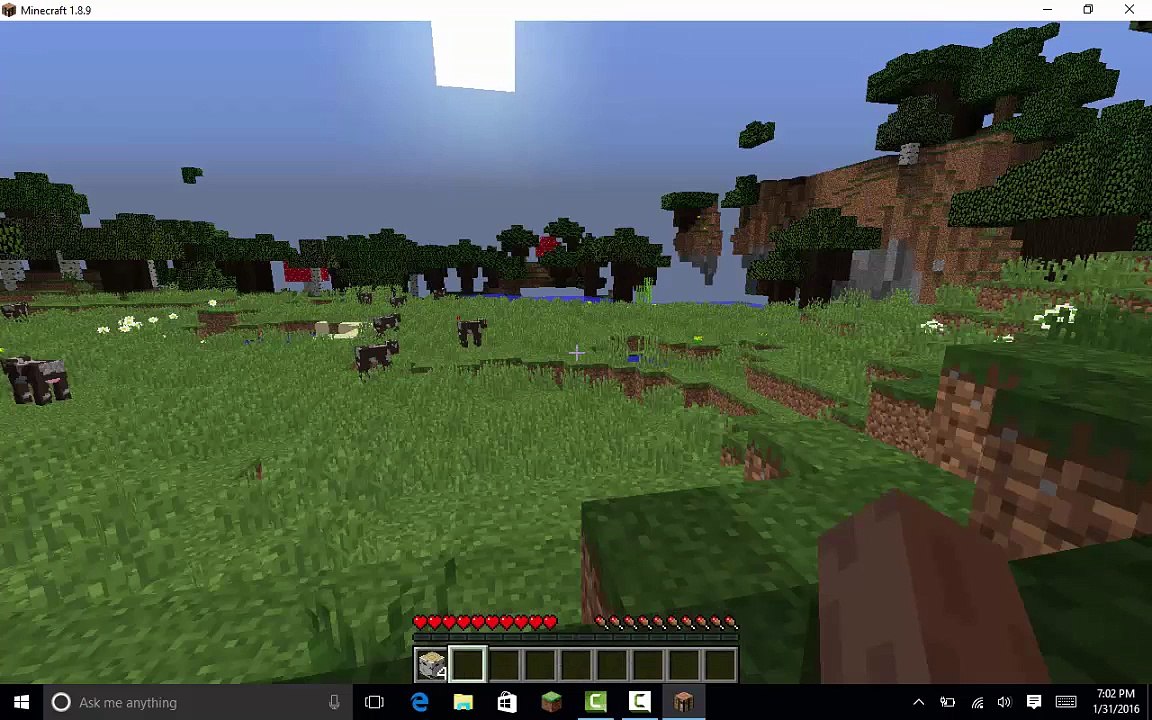 How to Use The F3 and F5 Keys on The Normal Minecraft on Windows 10 ...