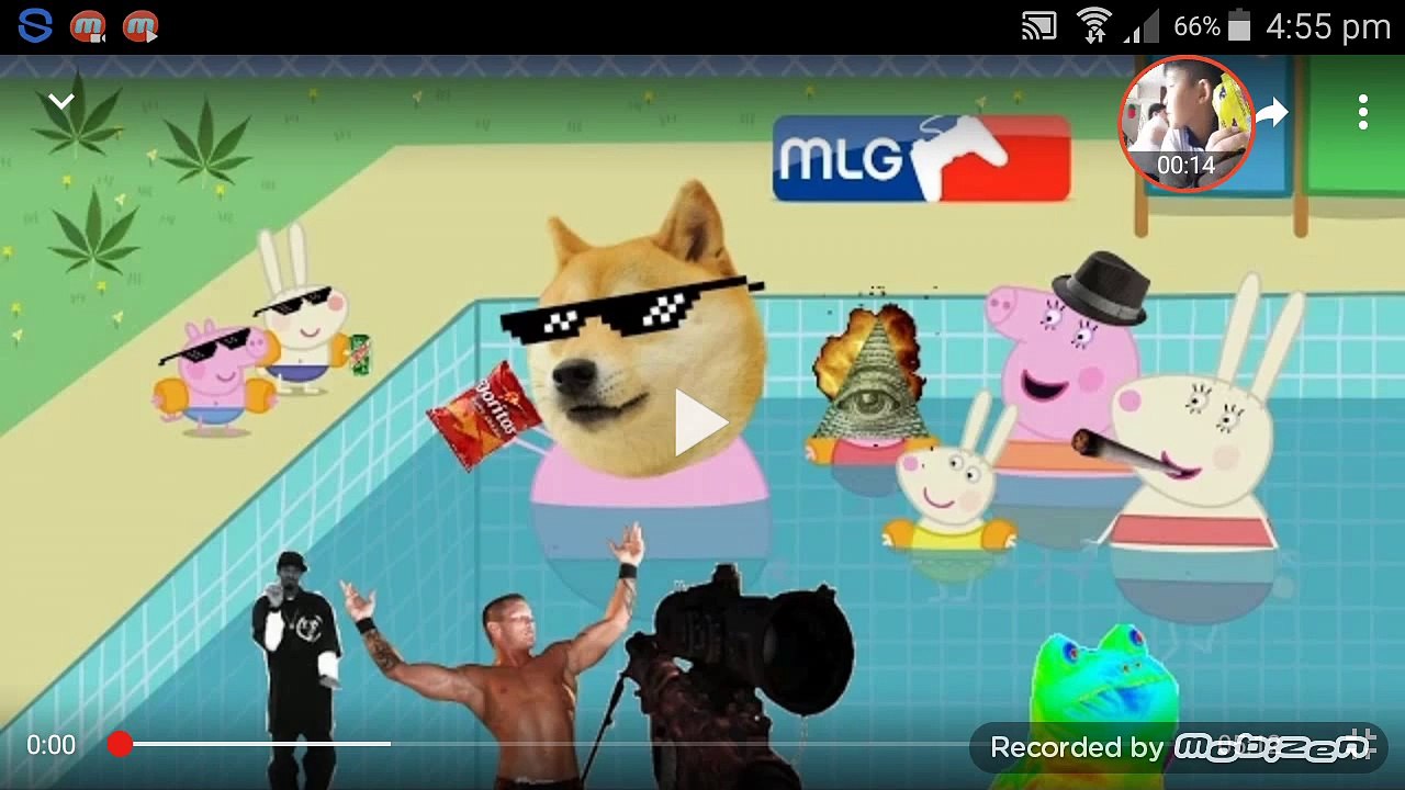 TRY NOT TO LAUGH (PEPA PIG MLG EDITION ) - video Dailymotion