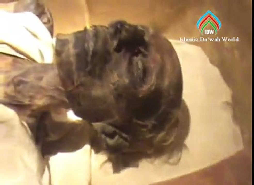 Firon-Mummy--in-Egypt-Museum || Must Watch Video - video Dailymotion