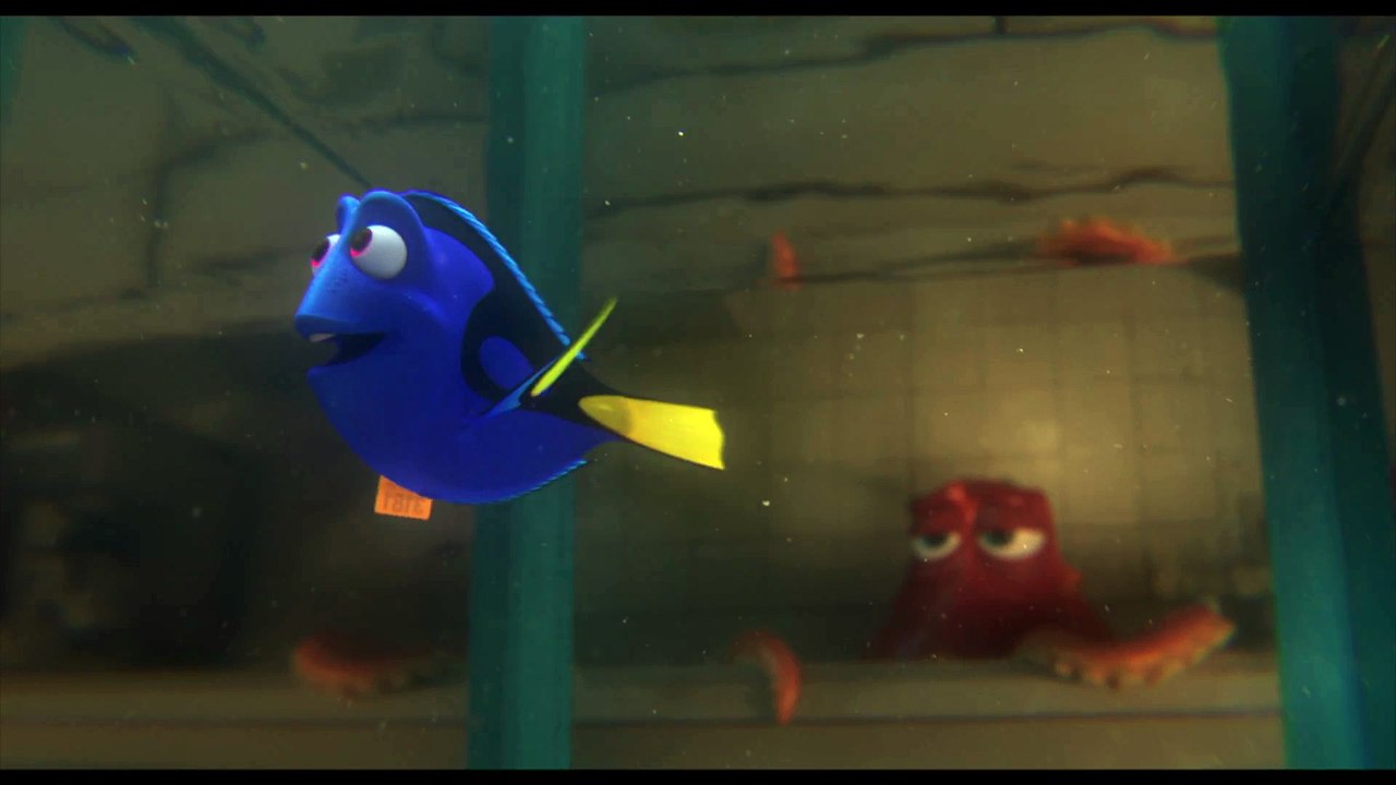 Finding Dory Movie CLIP - Short Term Memory Loss - video Dailymotion