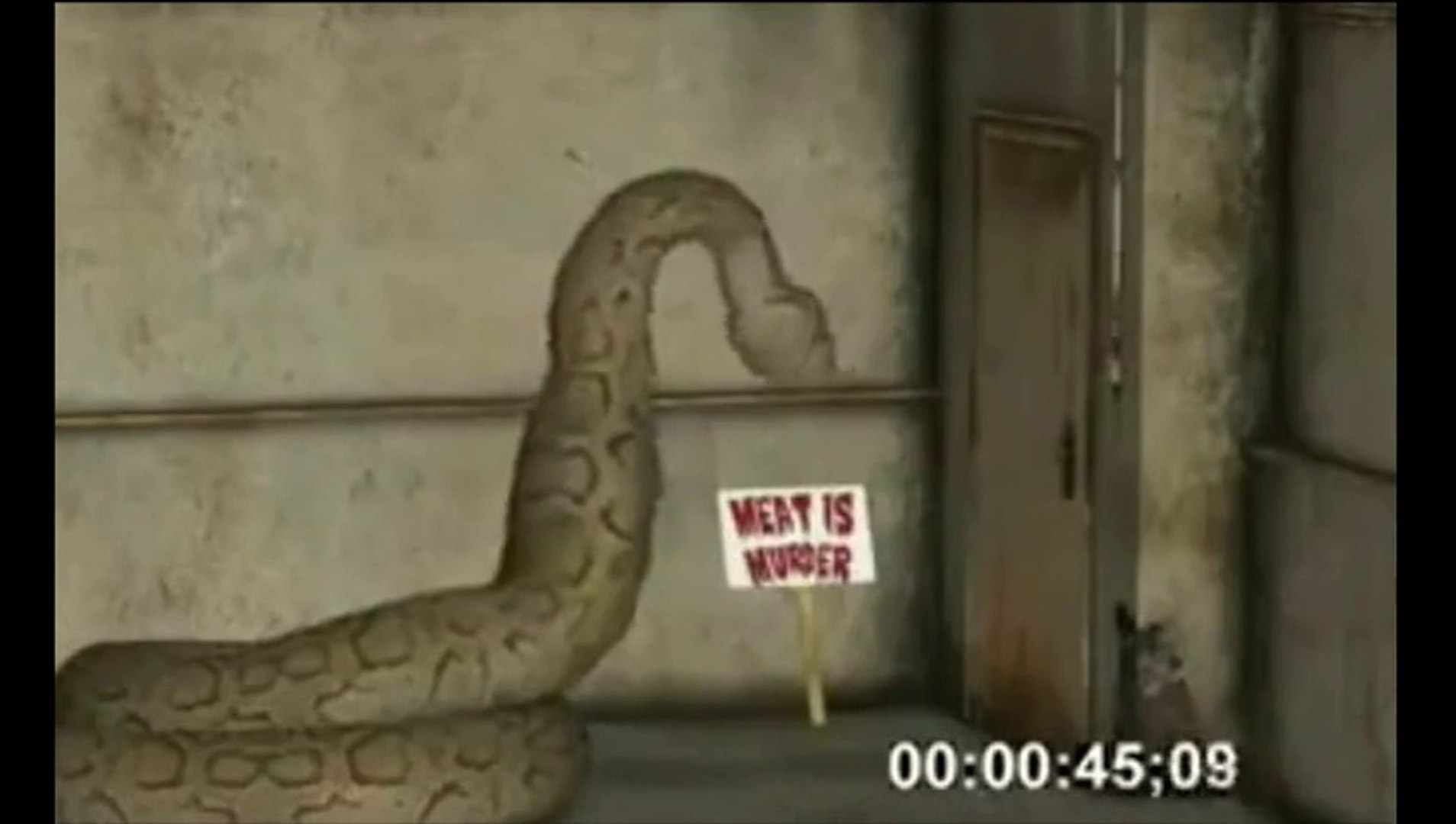 Snakes Eating People Videos