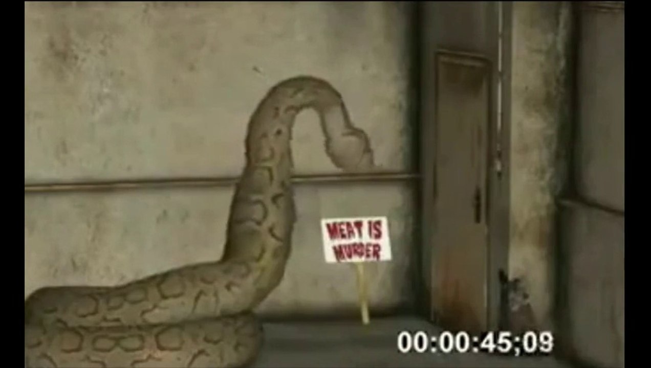 Giant Python eaten whole woman Live Snake eating girl - video Dailymotion