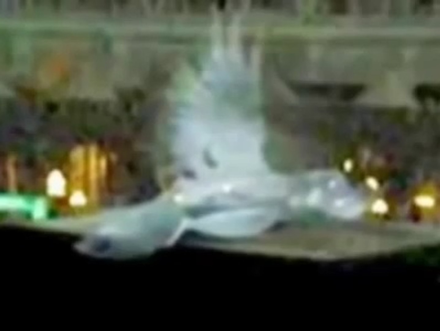 Angels In Mecca 2011