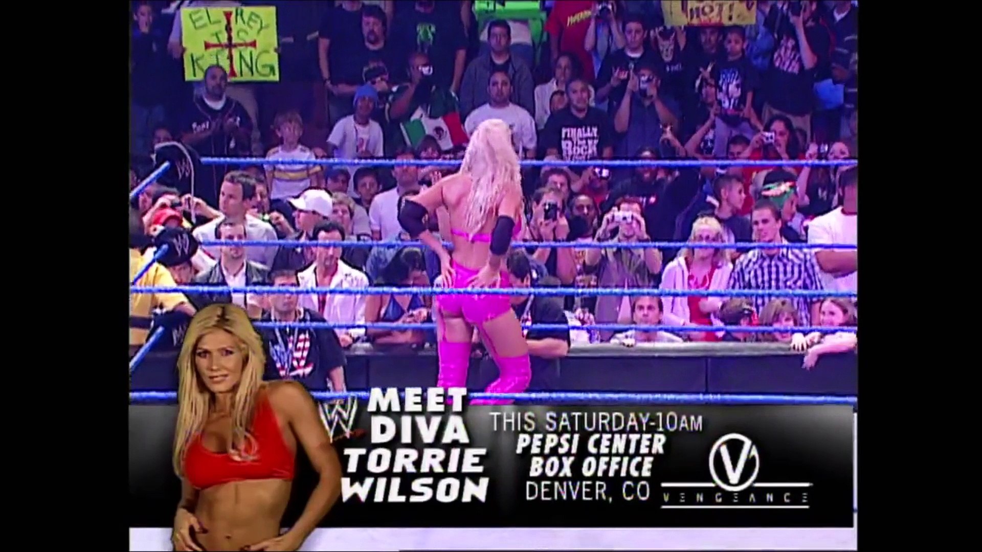 Torrie Wilson Stinkface Sale | emergencydentistry.com