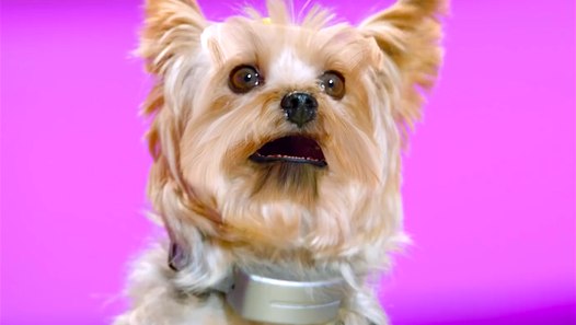 Pup Star - Official Trailer - video dailymotion