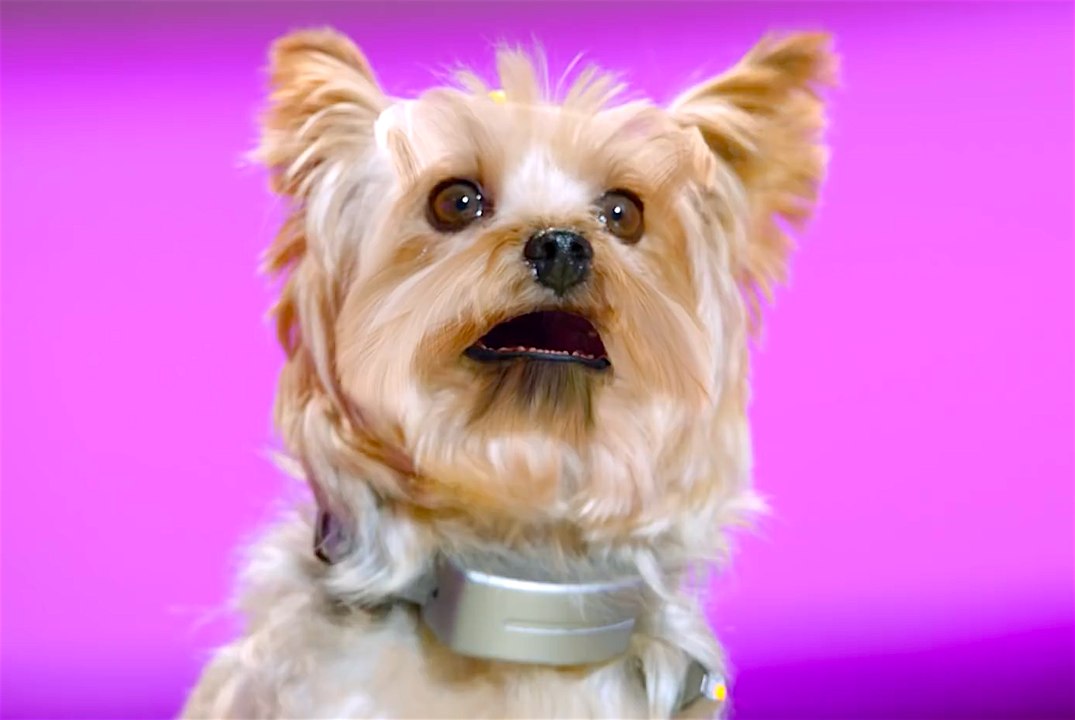 Pup Star - Official Trailer - video Dailymotion