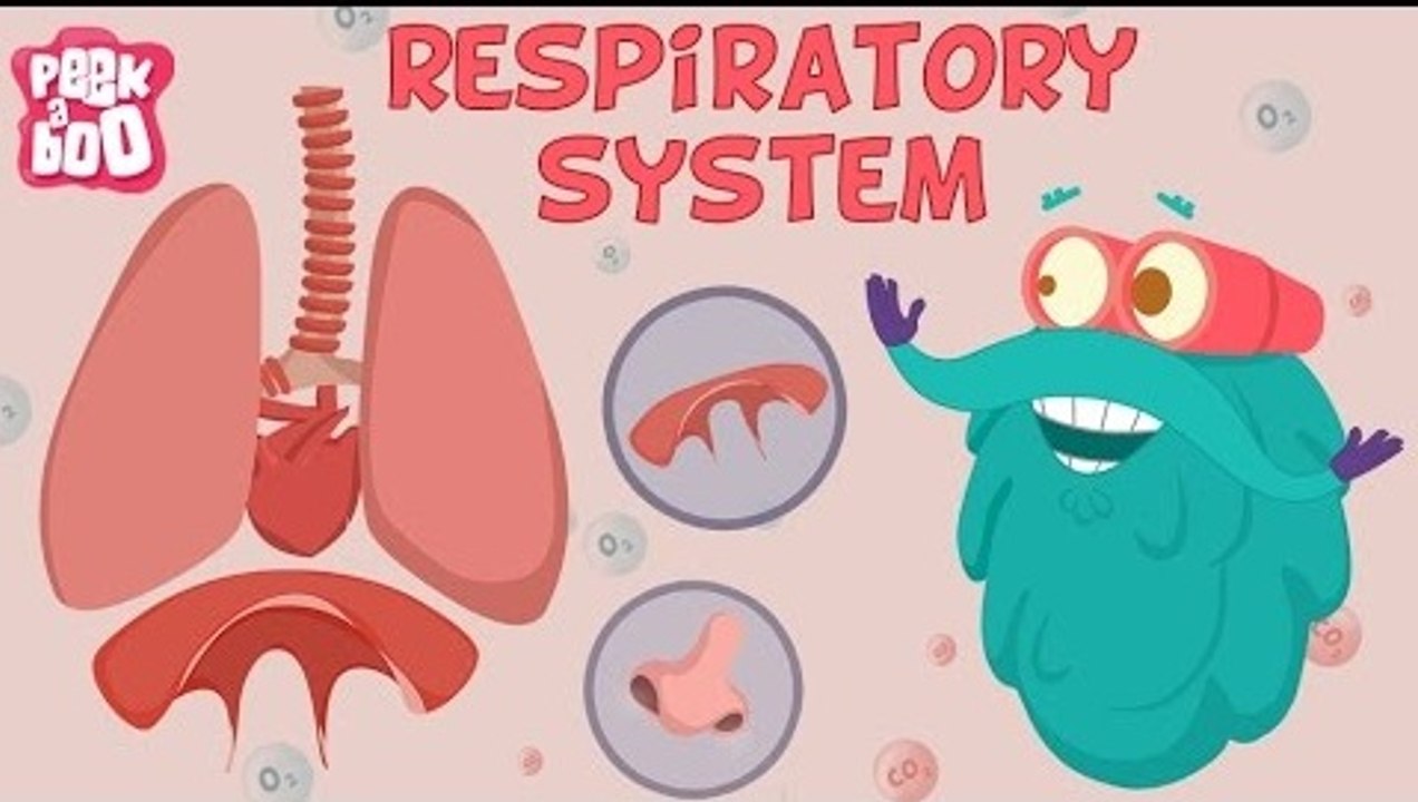 Respiratory System | The Dr. Binocs Show | Learn Videos For Kids ...