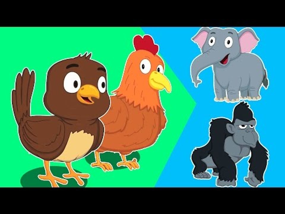 El sonido de los animales | los niños aprenden canciones en español ...