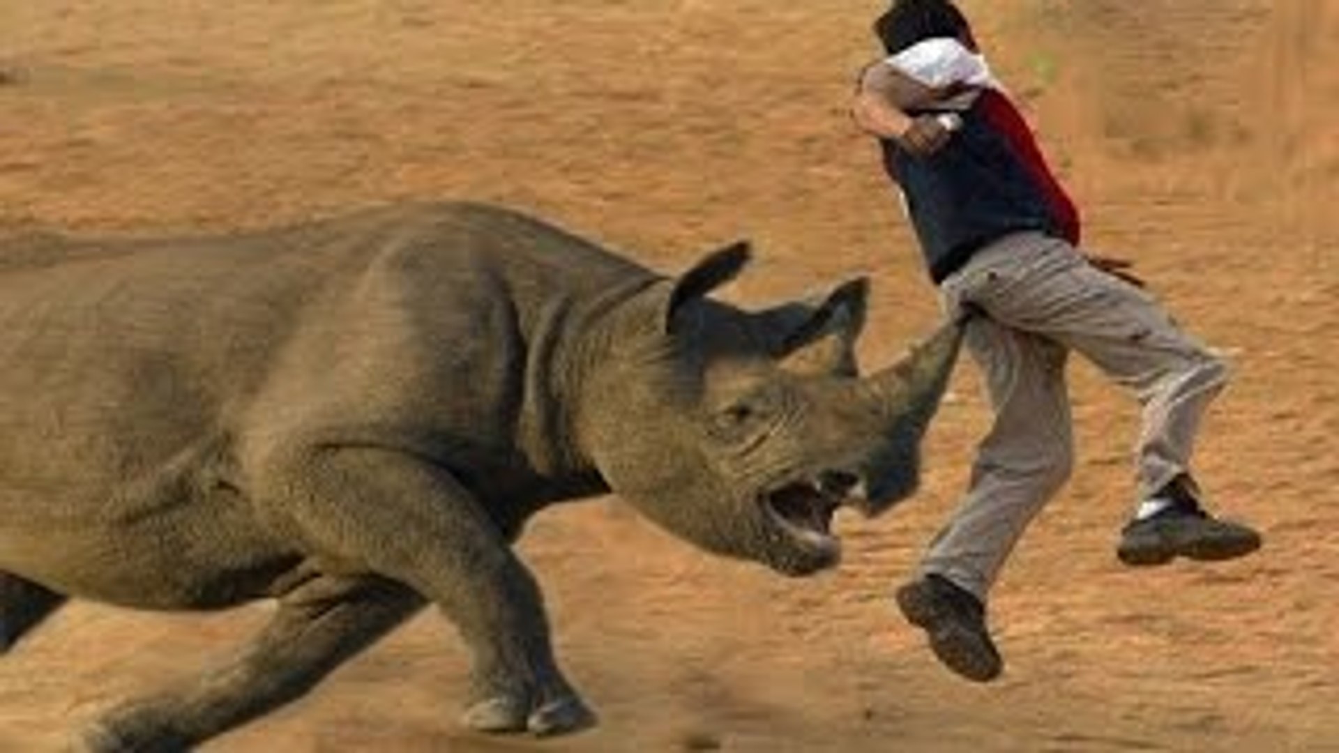 Attacks On Humans