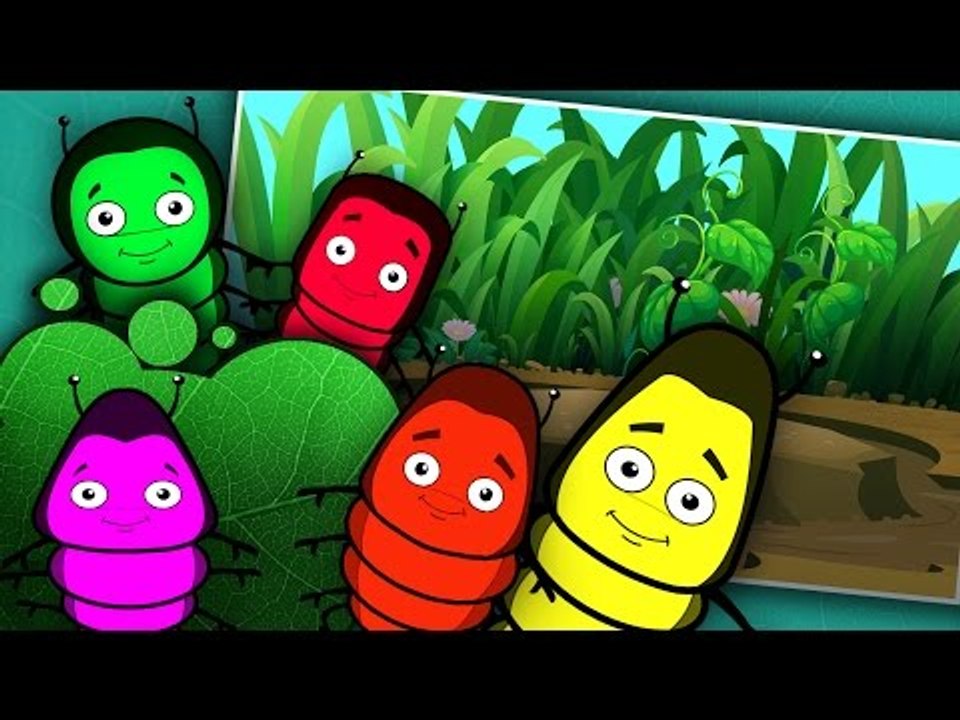 Five Little Caterpillars | Five Little Series - video Dailymotion