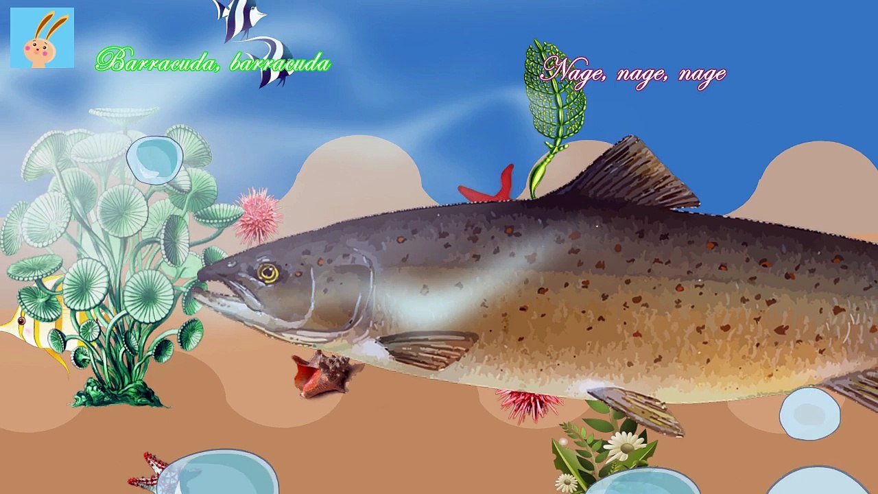 "La belle pieuvre et le petit poisson" (glou glou glou )/ Chanson pour ...