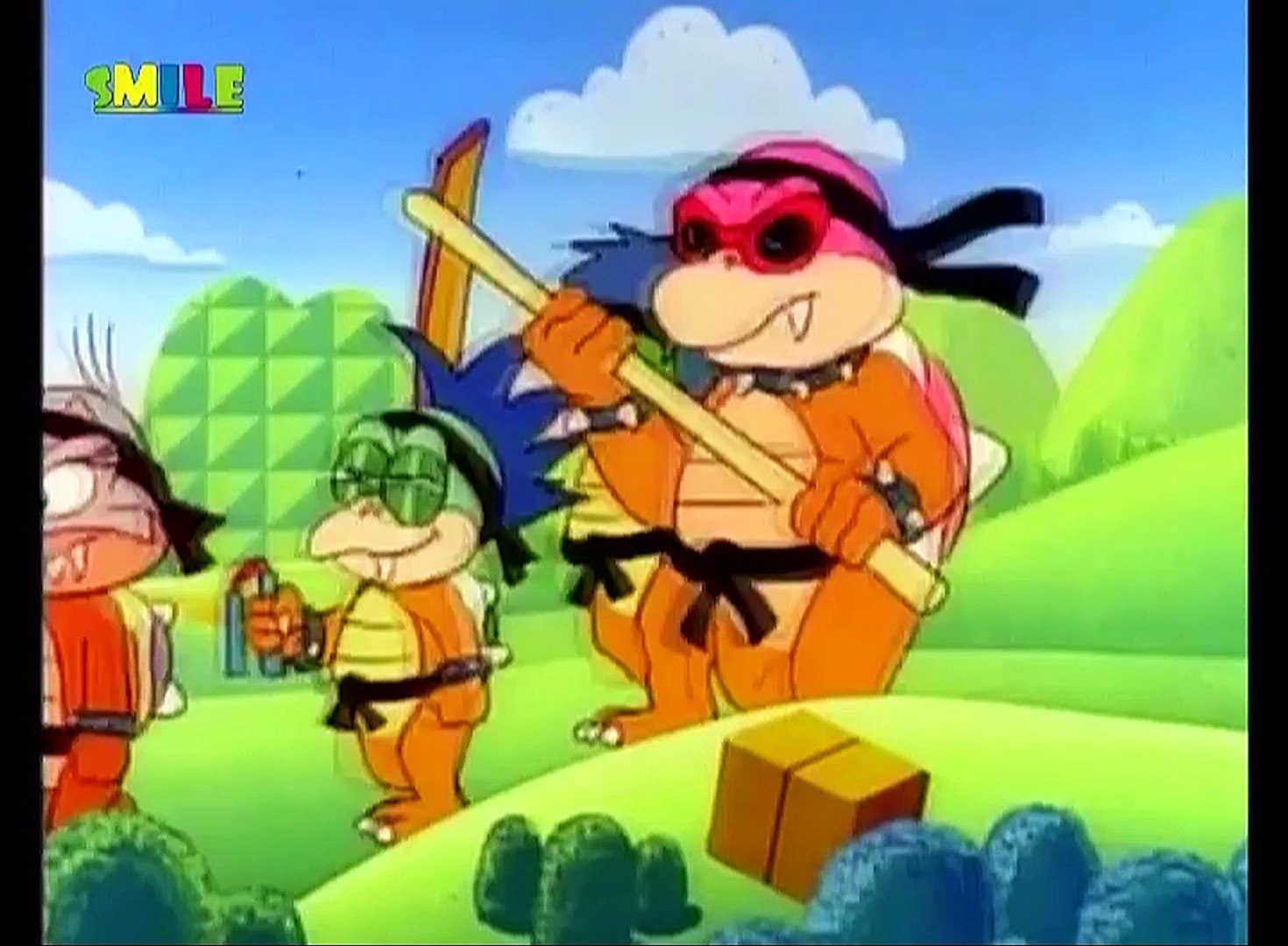 Teenage Mutant Ninja Koopas